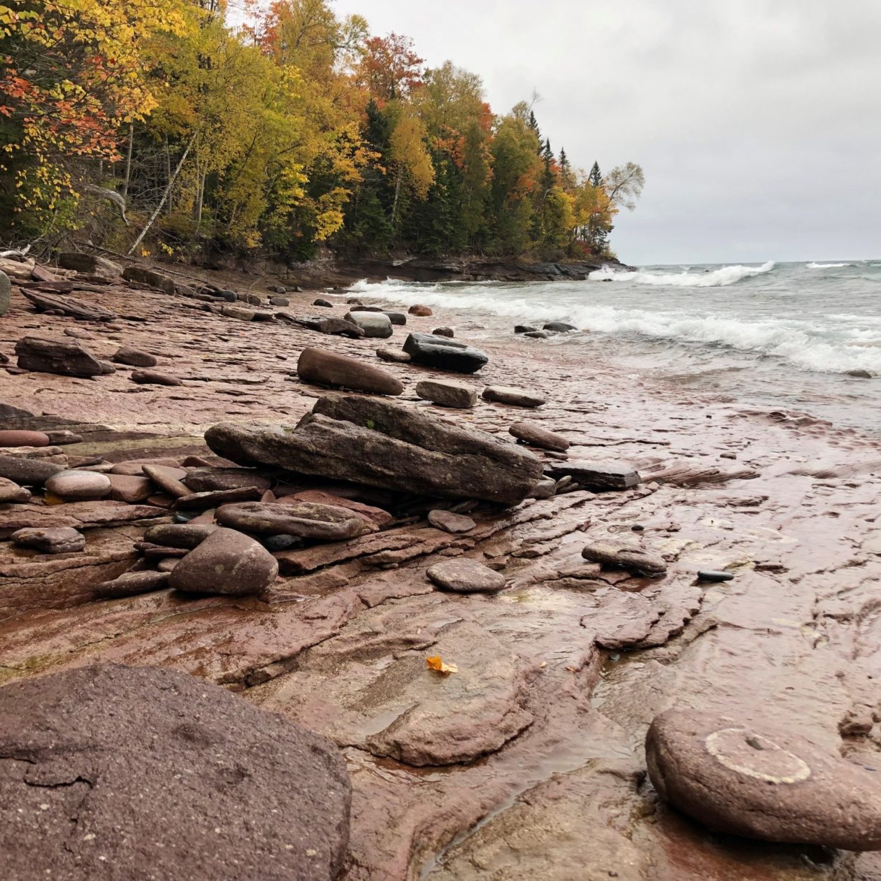 Lifelong Faith Formation – Northern Great Lakes Synod